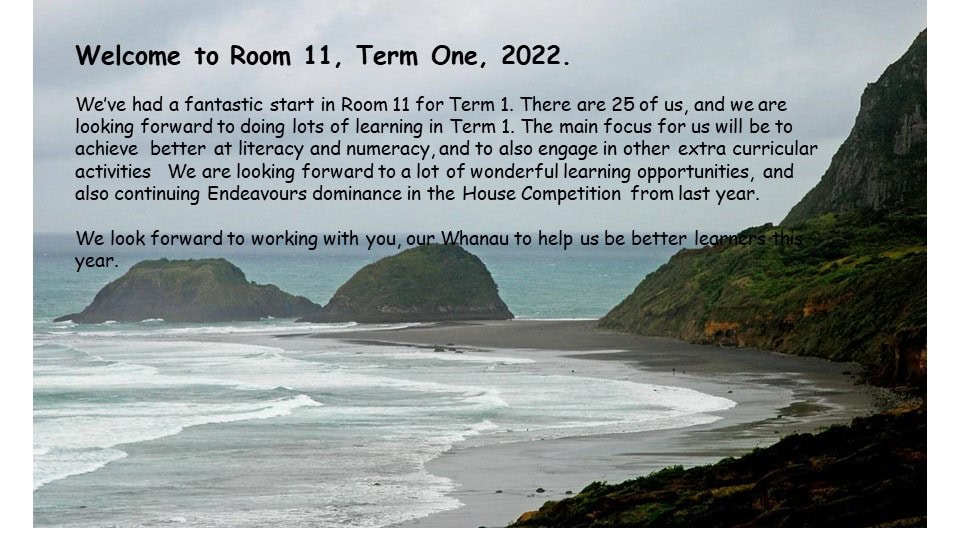 Room 11 Devon Intermediate School