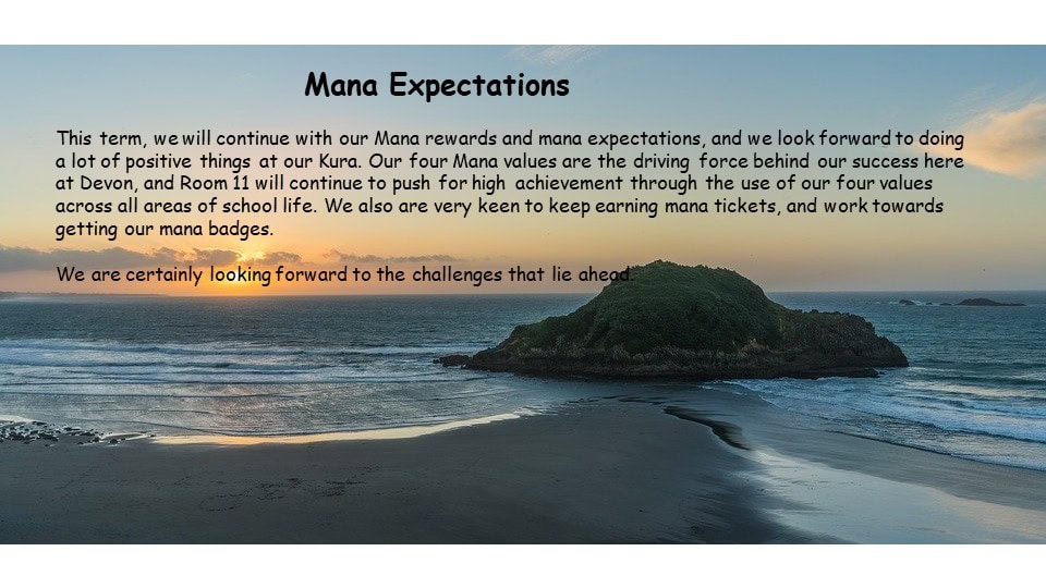 Room 11 Devon Intermediate School