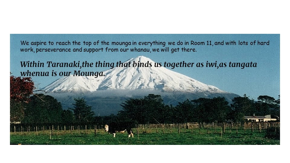 Room 11 Devon Intermediate School