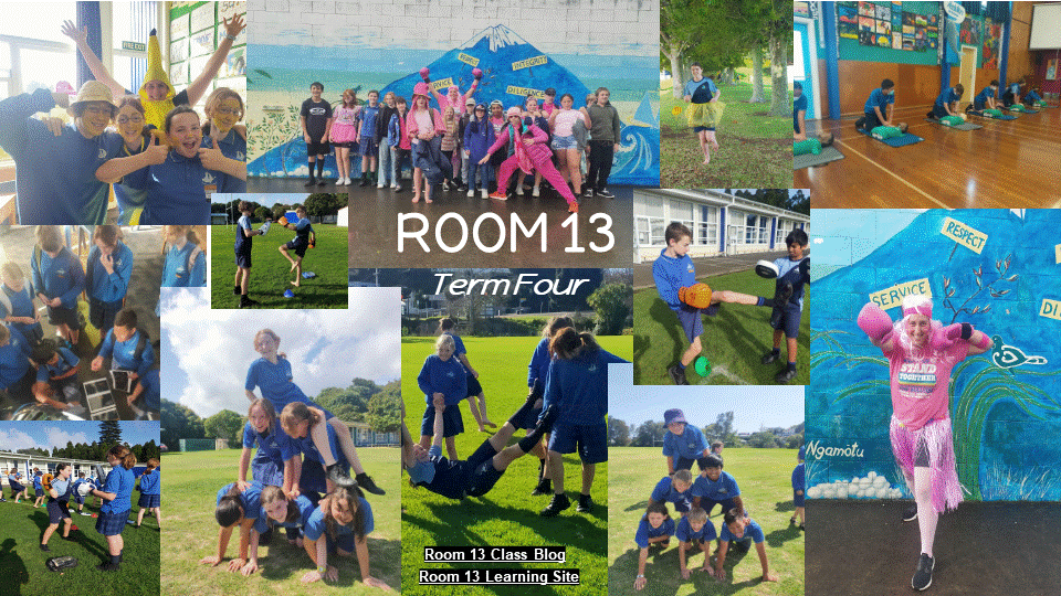 Room 13 Devon Intermediate School